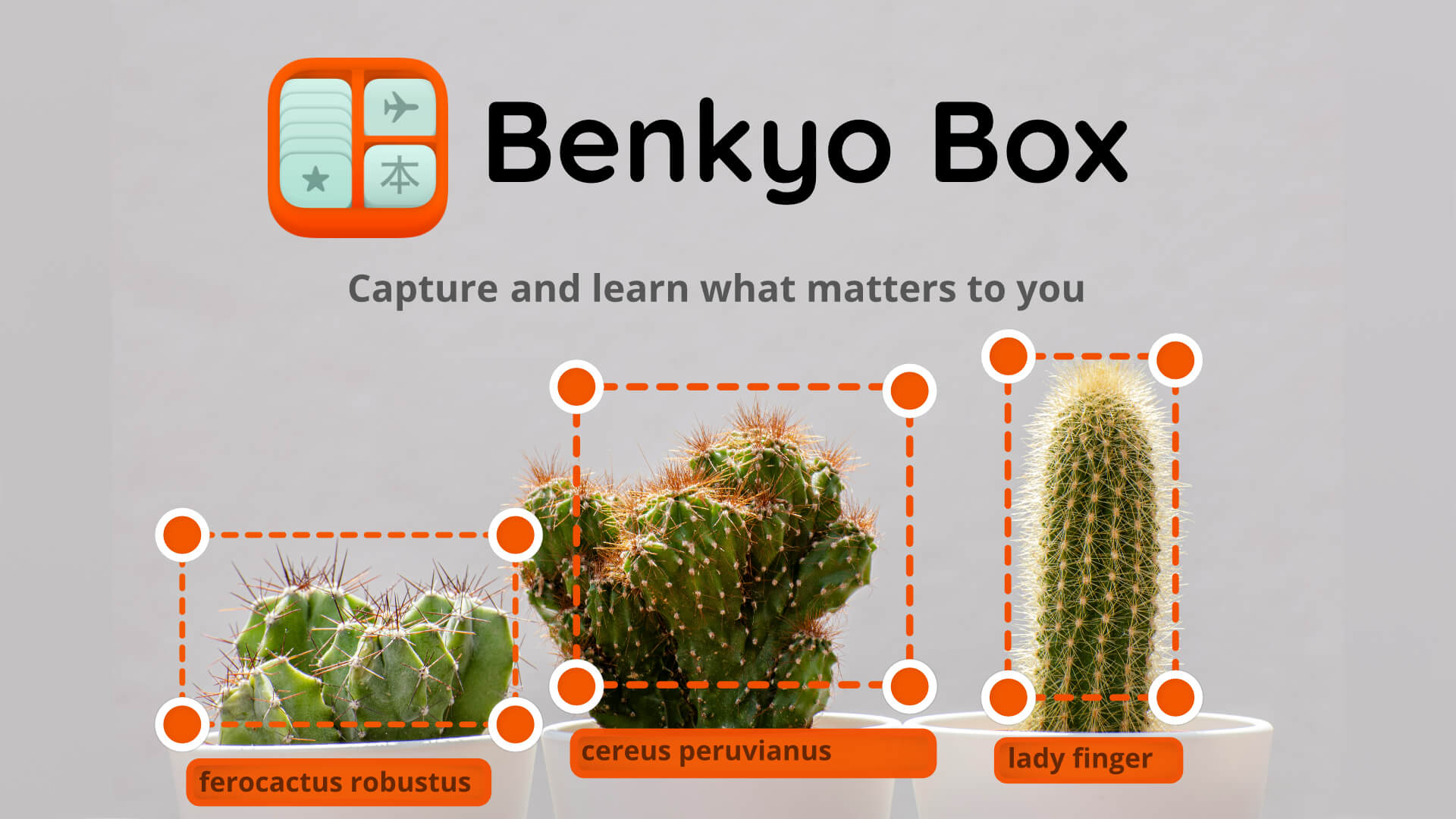 Benkyo Box - Spaced Repetition Flashcard App | Firsto